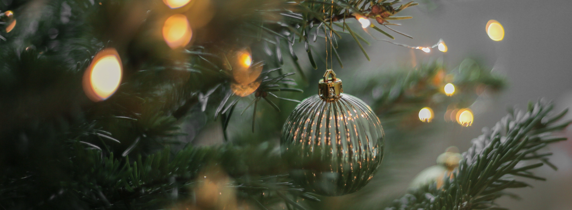 Polish Christmas Traditions: Customs, Dishes, and Rituals – POLSKA KULTURA