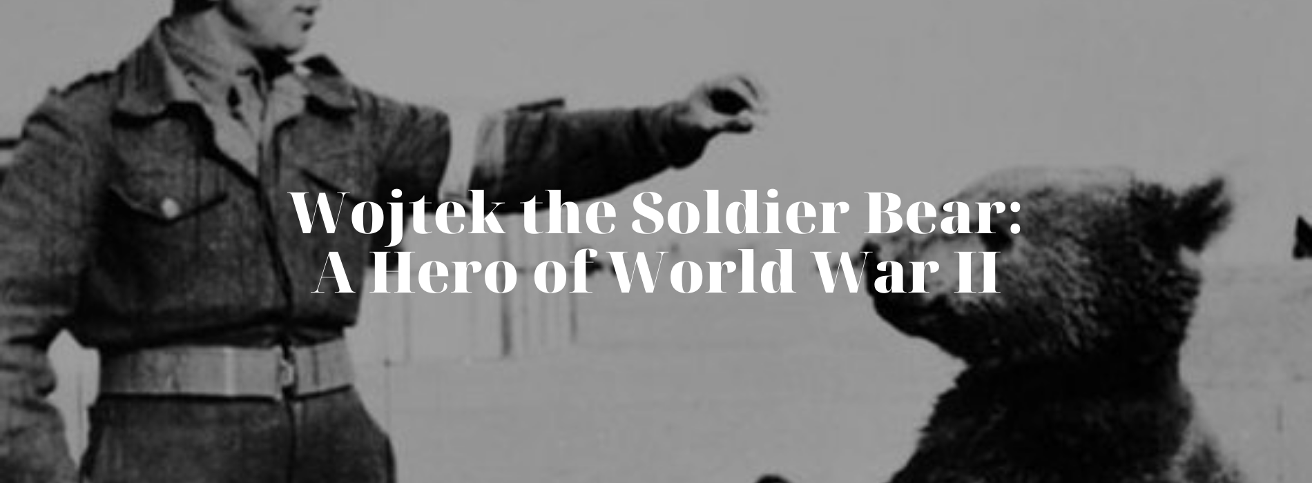 Wojtek the Soldier Bear: A Hero of World War II – POLSKA KULTURA