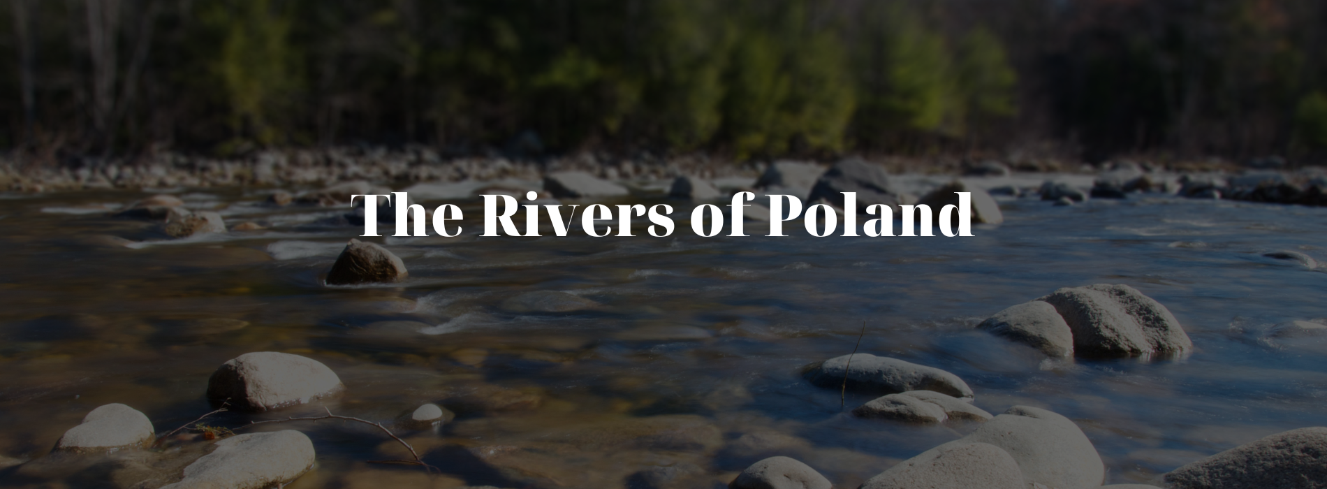 The Rivers of Poland: Exploring Wisła, Odra, Warta, and Bug – POLSKA ...